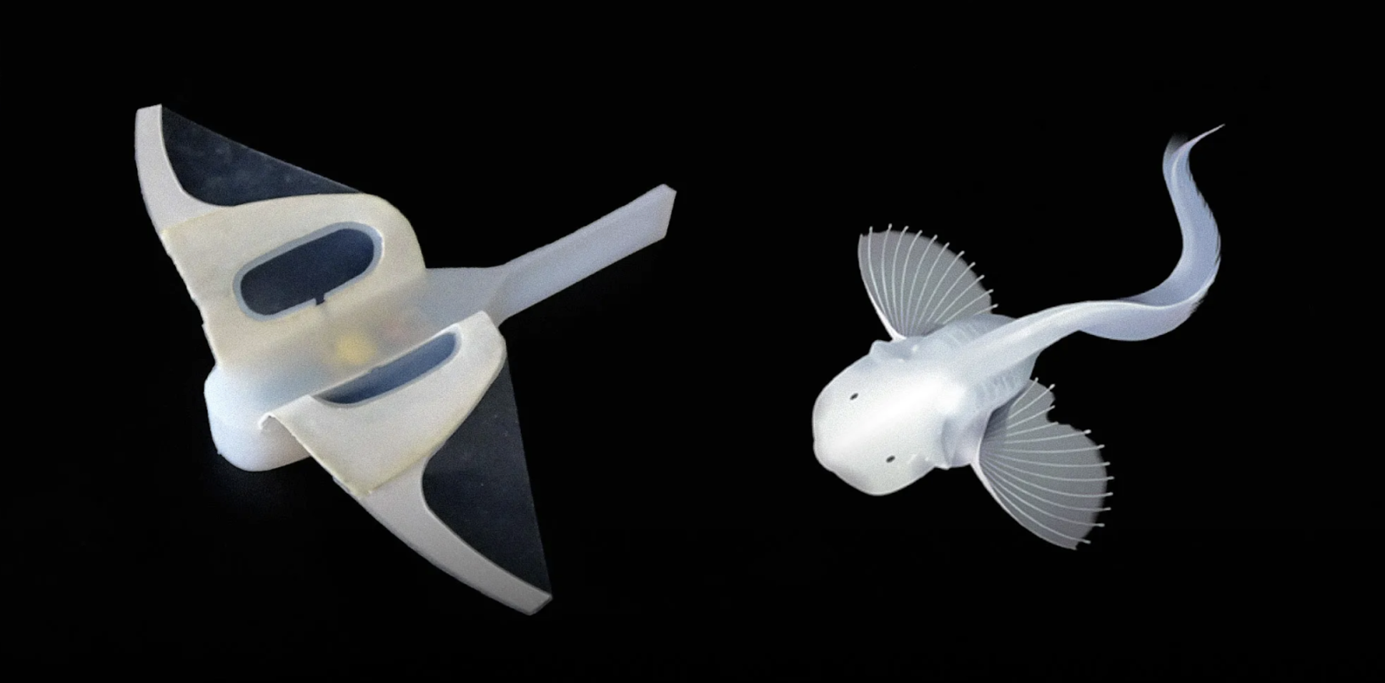 Biomimicry — Innovation from the Scheme of Evolution